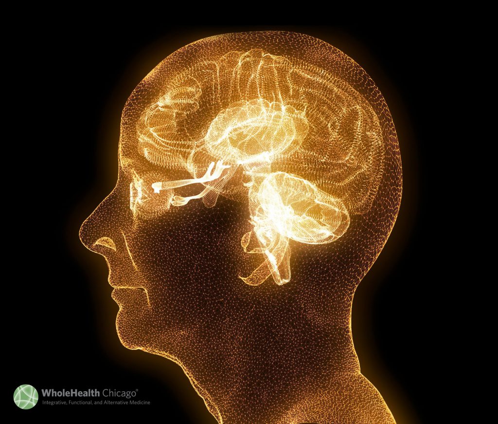 Brain Degenerative Diseases Linked To Your Microbiome